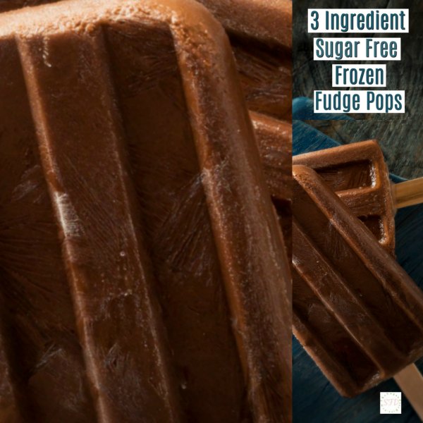 3 Ingredient Sugar Free Frozen Fudge Pops Recipe