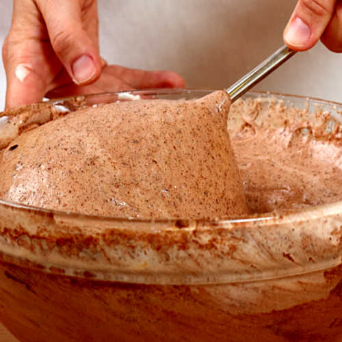How to Make Homemade Sugar Free Chocolate Ice Cream How to Make Homemade Sugar Free Chocolate Ice Cream